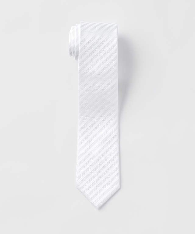 Microfiber Polyester Ties