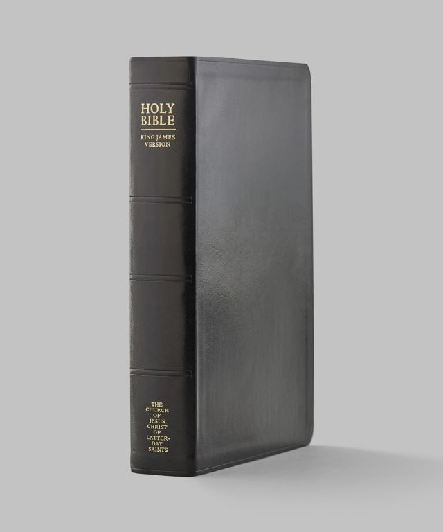 Large, Thumb-indexed Simulated Leather Bible
