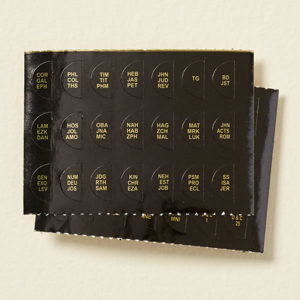 Compact Quad Combination Index Tabs