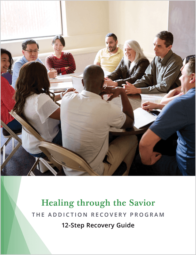 Addiction Recovery Program (Spiral-Bound)