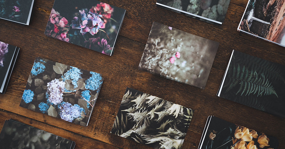 35mm Film Development | Henry's