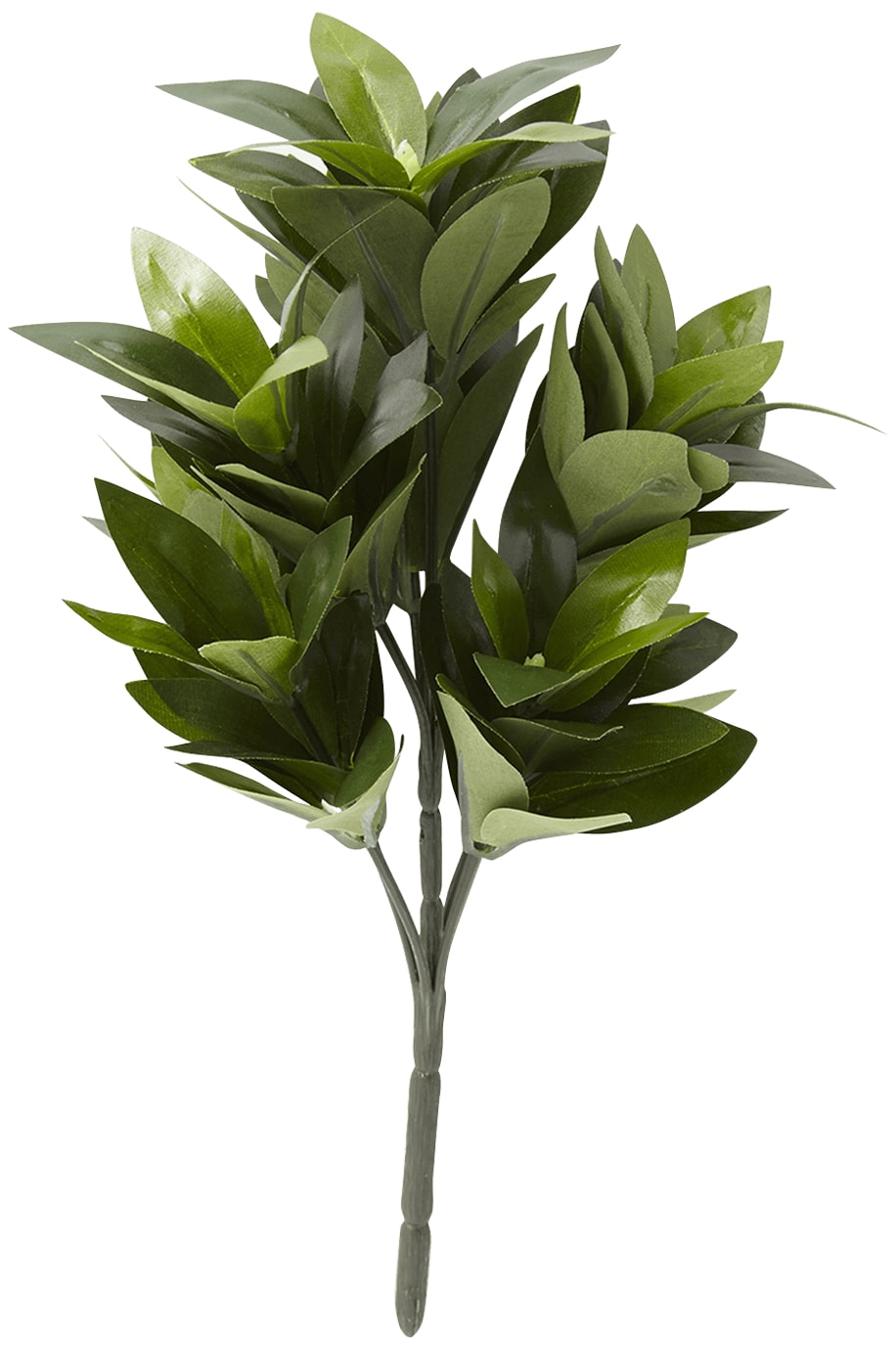 Product Details - SGI-USA Bookstore