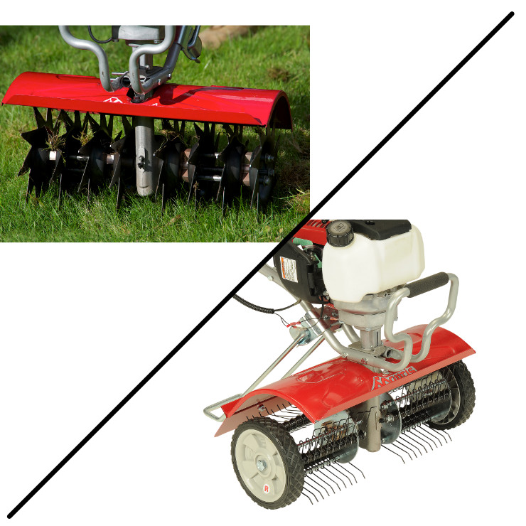 Mantis Ordertree | Home