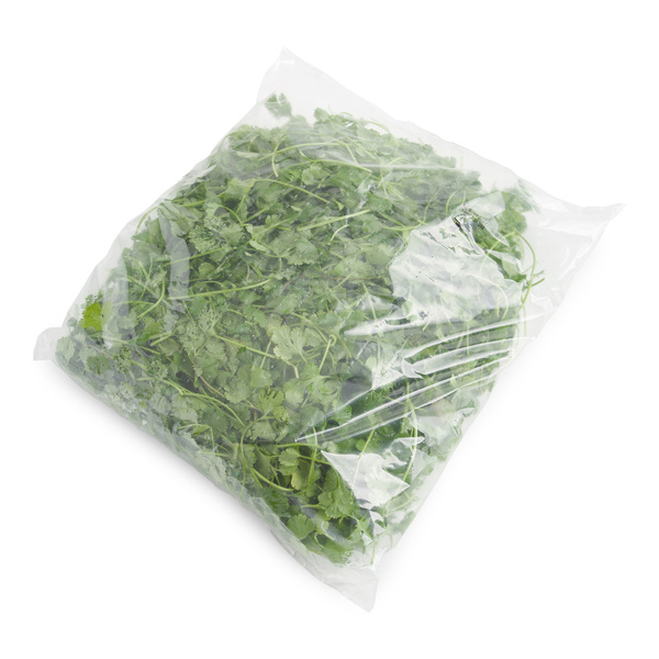 Cilantro Cleaned, Washed & Fresh Herb