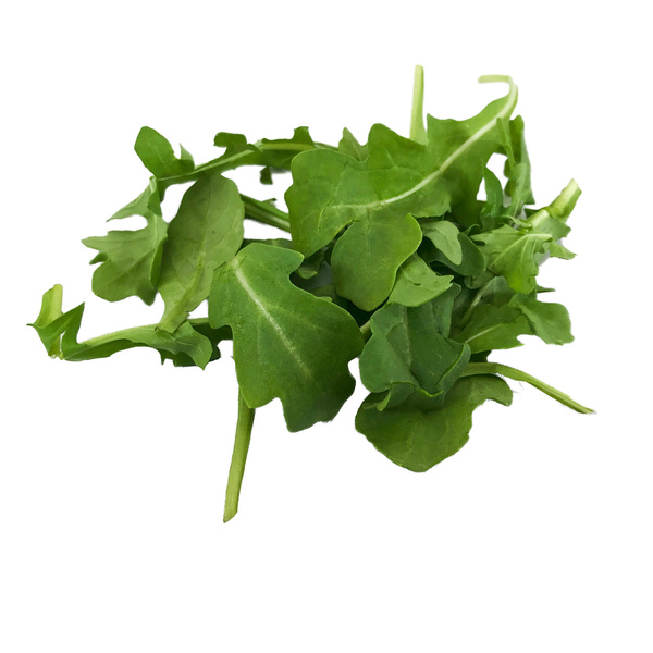 Arugula Baby Fresh
