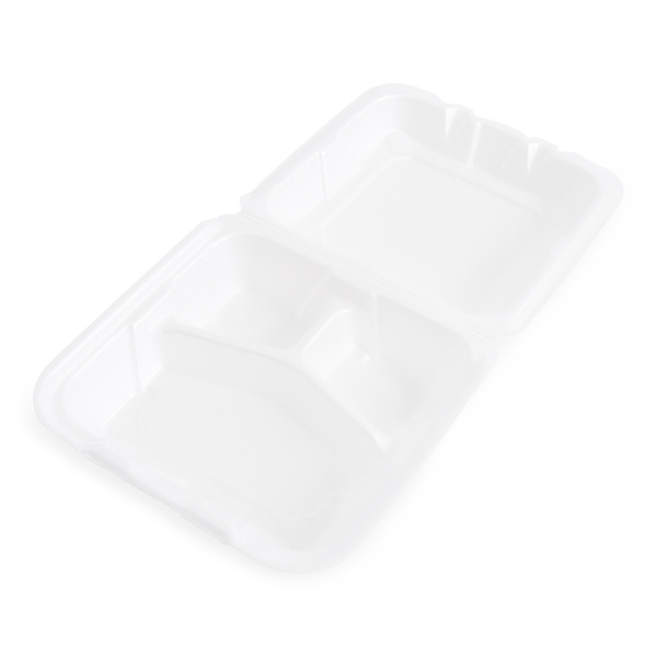 Container Foam Hinged 3 Compartment Double Tab