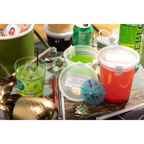 Container Plastic Deli Translucent With Lid