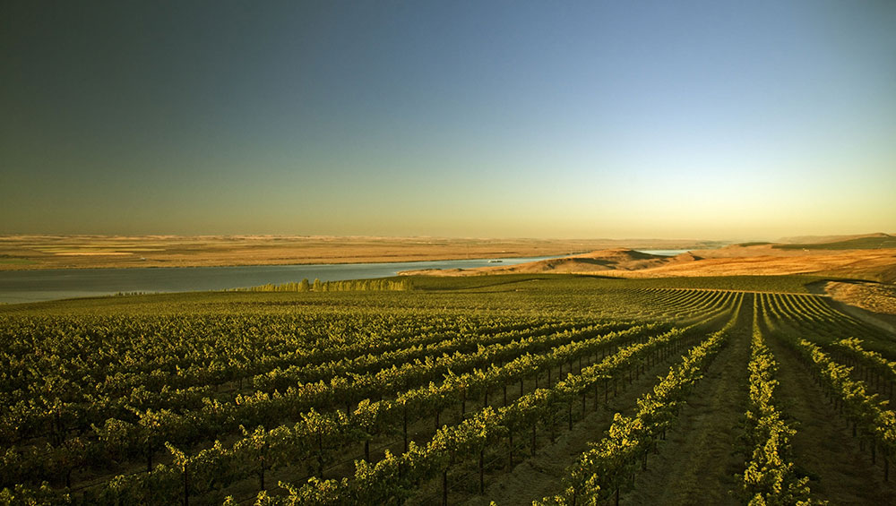 Canoe Ridge Estate | Columbia River Valley Winery Vineyards