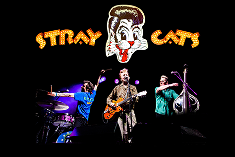 Stray Cats