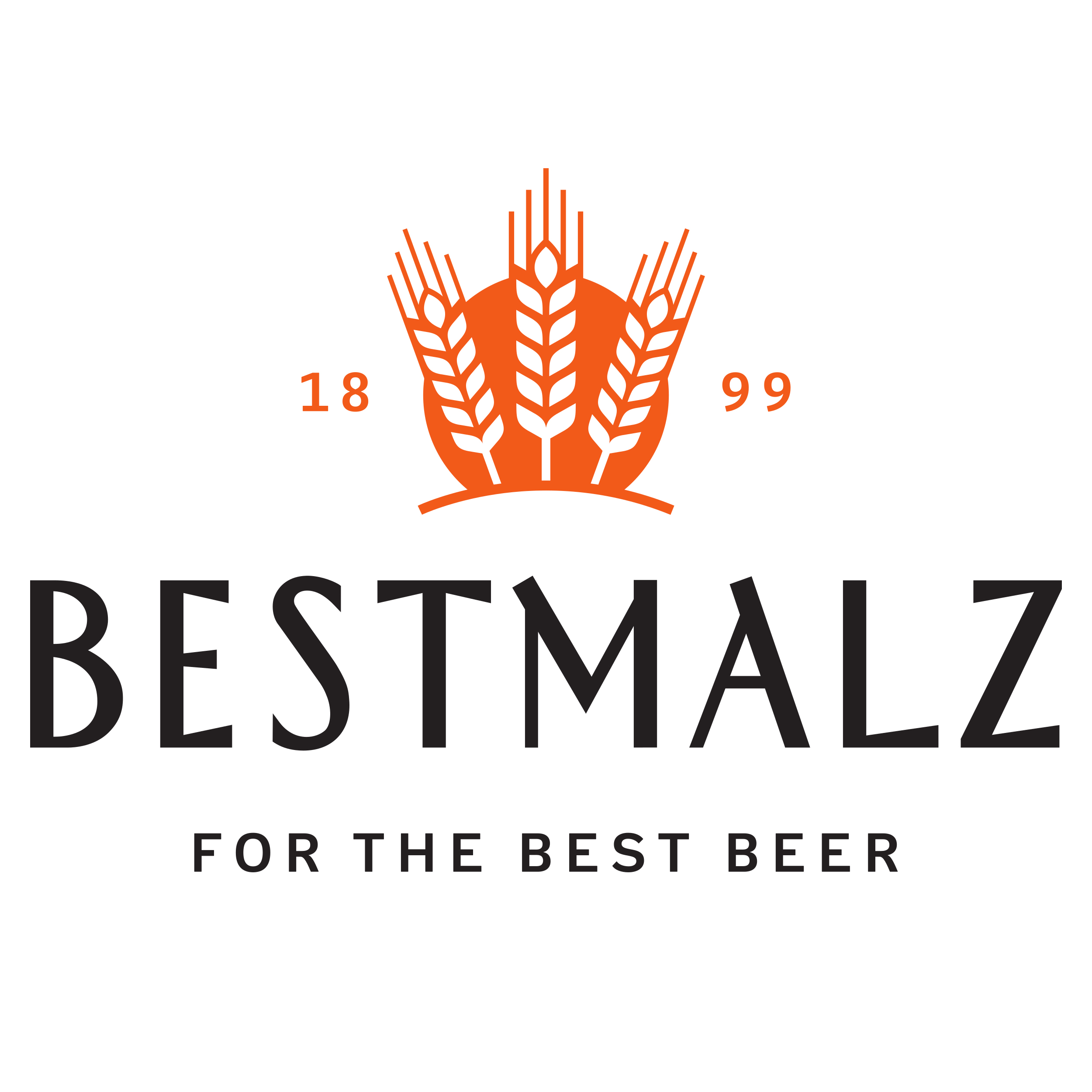 Bestmalz Black Malt