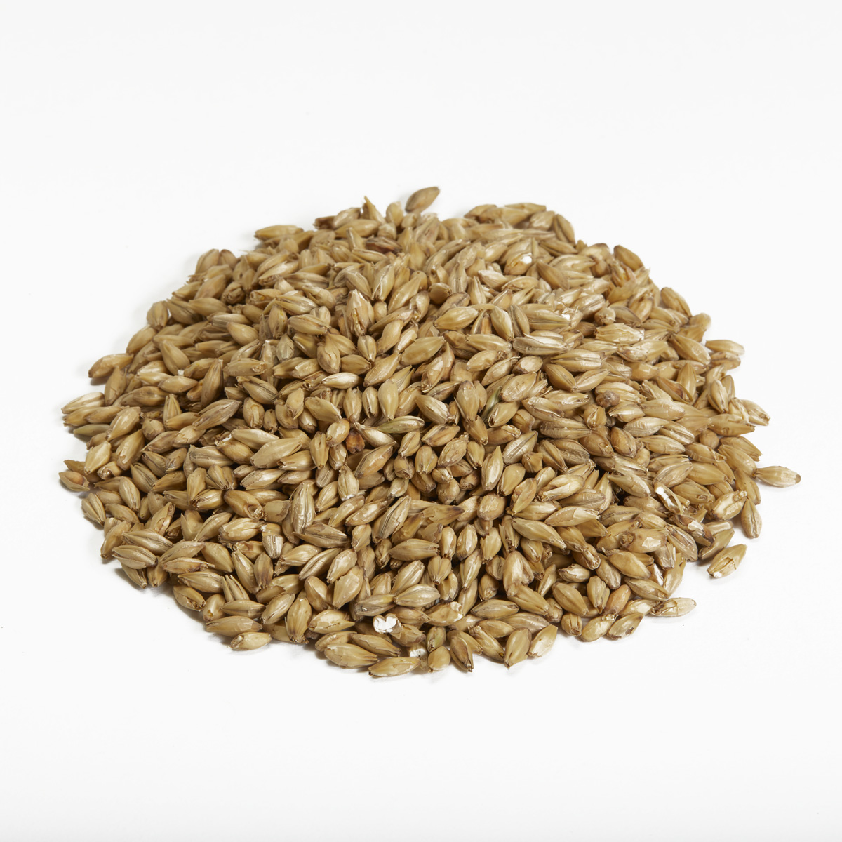 Canada Malting Products