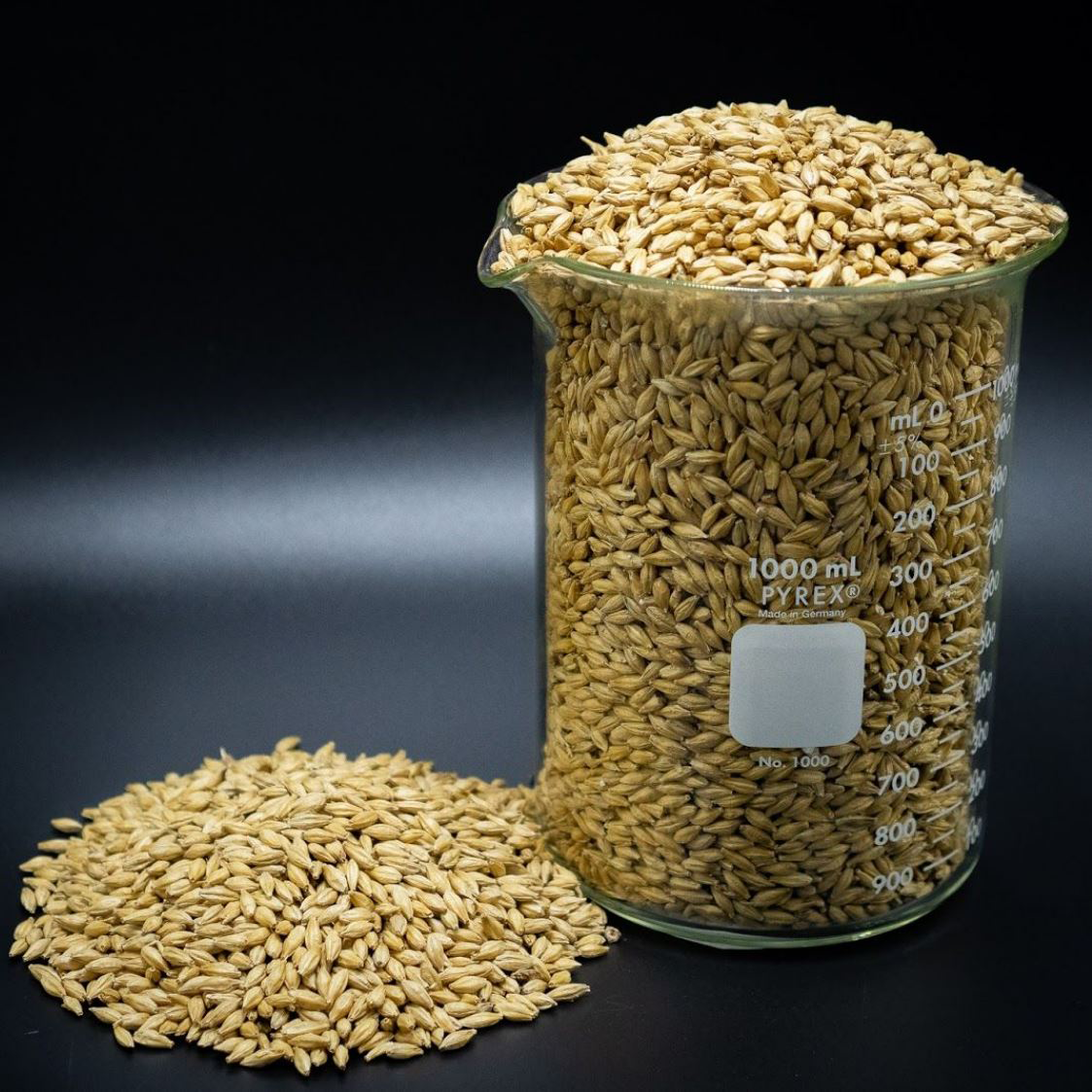 Epiphany Craft Malt Modern Pilsner Malt