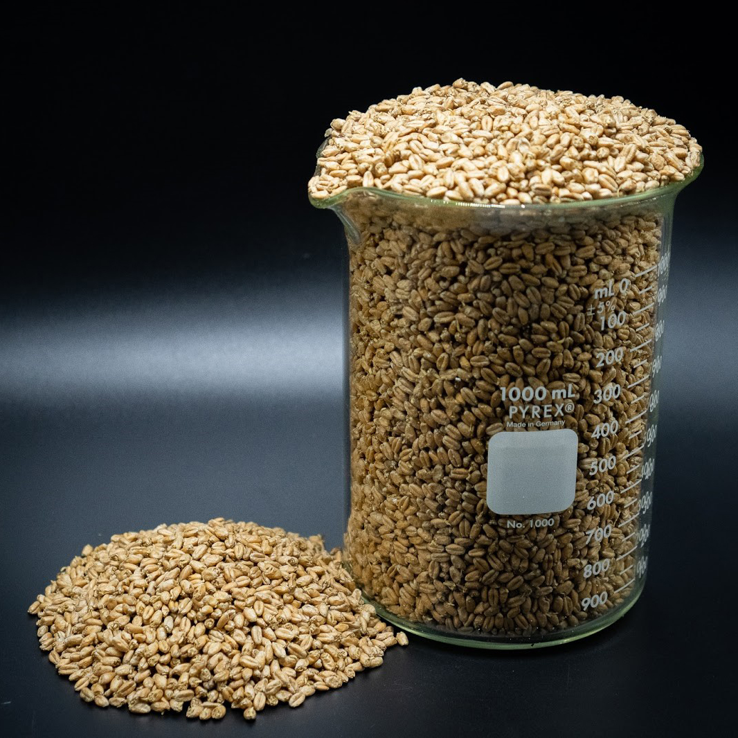 Epiphany Craft Malt Wheat Malt