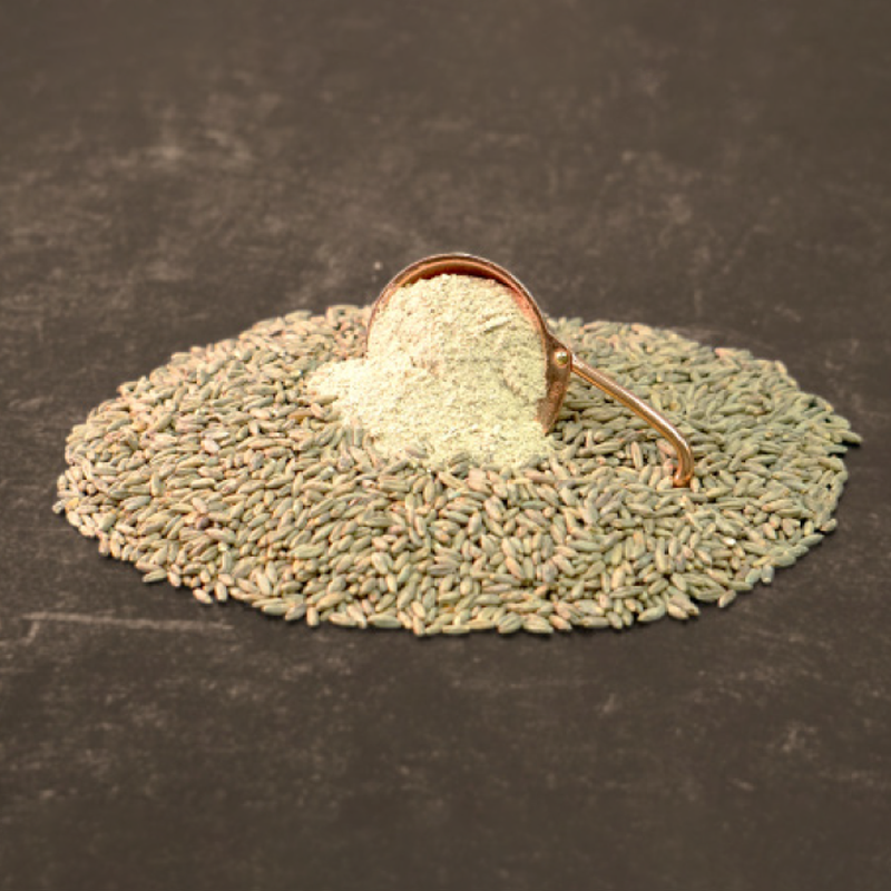 Great Western Malting Biscuit Rye Malt