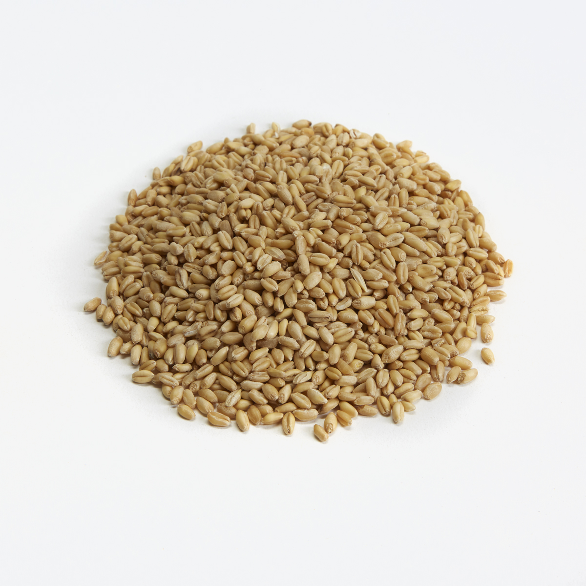 Great Western Malting - Award-Winning Malt