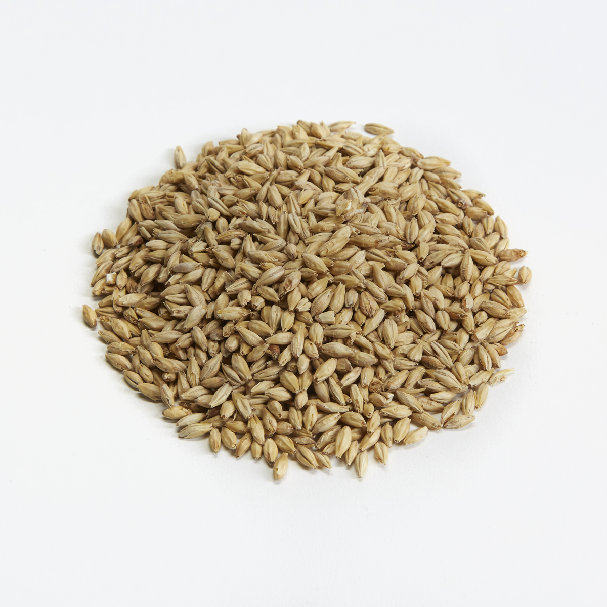 Great Western Malting Pocatello Premium Two Row Malt