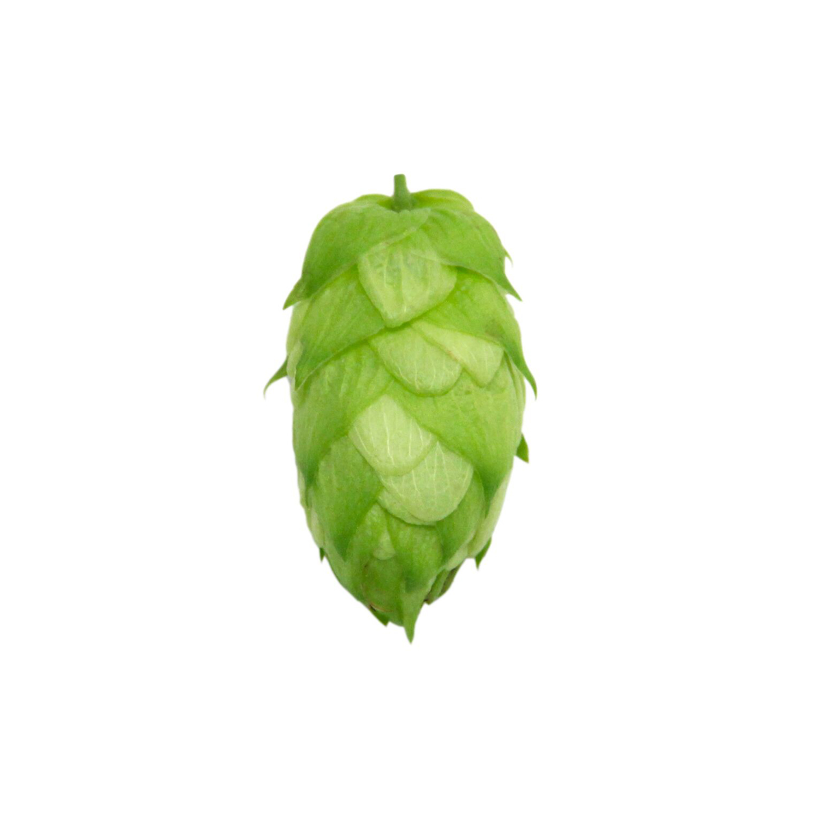 T90 Hop Pellets - Centennial