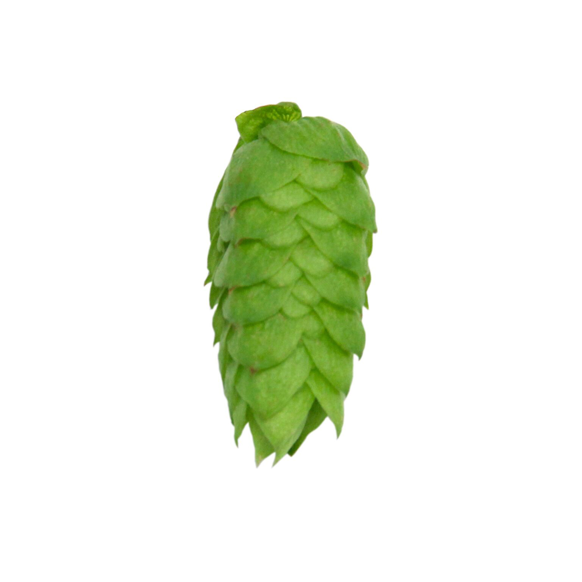 T90 Hop Pellets - Comet