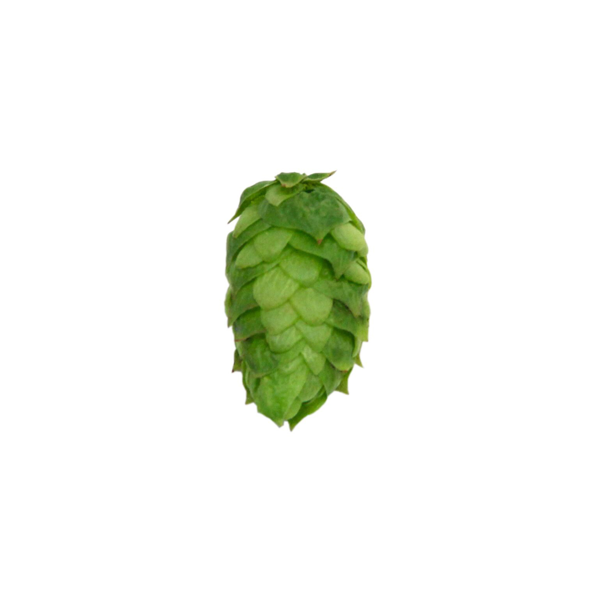 Whole Cone Hops - Simcoe